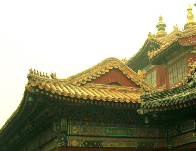 La signification de la couleur jaune dans la culture traditionnelle ...